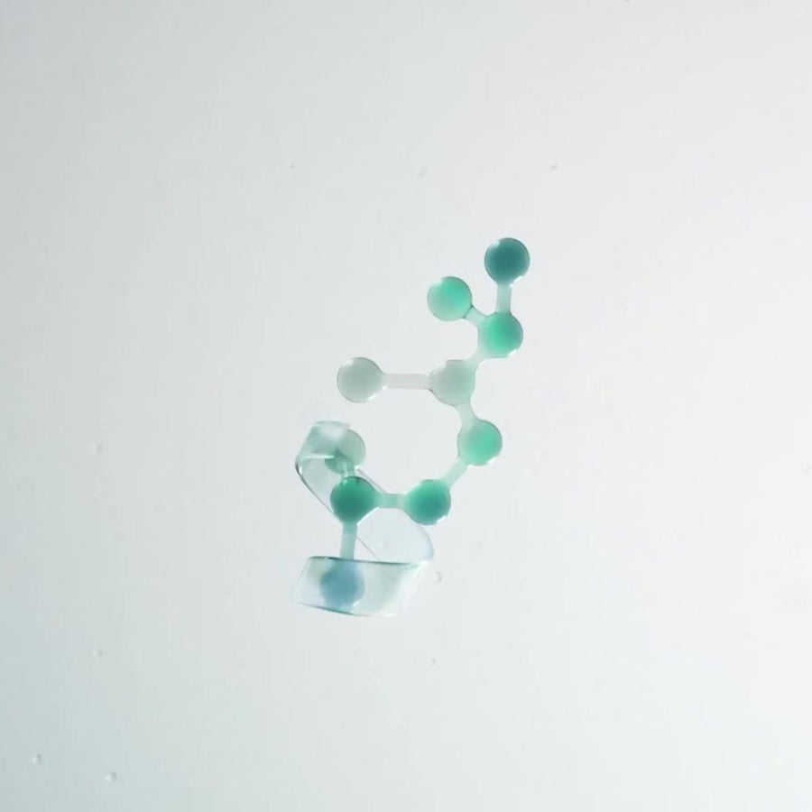 What is The Dermis? Functions and Significance | OneSkin